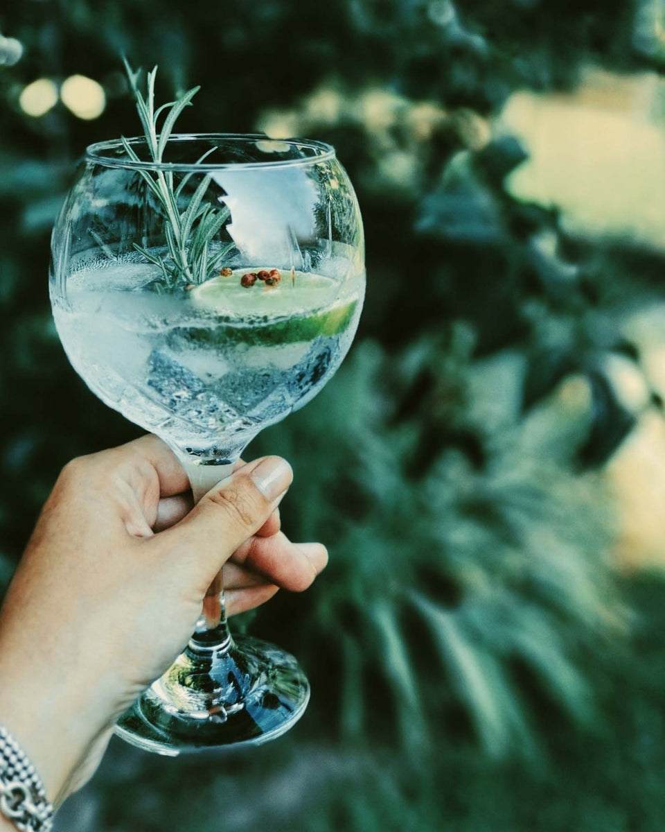 Buy Borgonovo® Rococo' Gin Tonic 620ml 4pck Online | Exclusive Brands ...